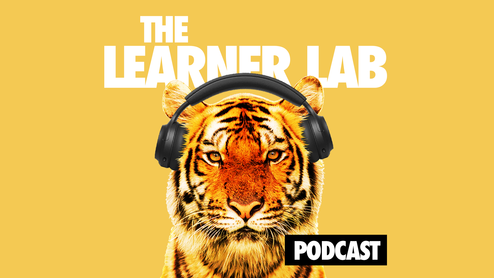 Using the Power of Stories for Better Communication (Podcast)